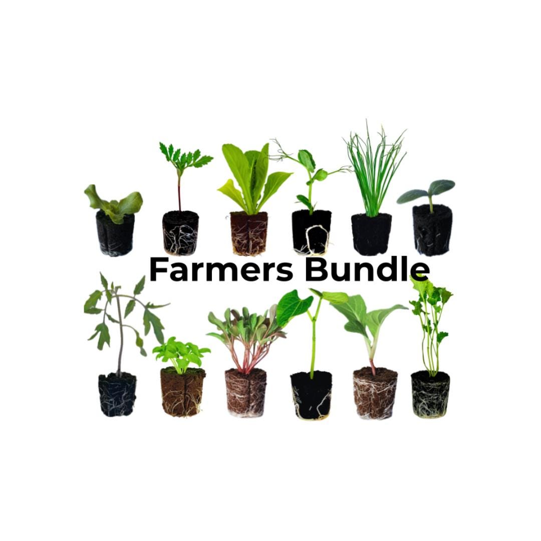 Farmers Bundle: Ready-to-plant Seedlings, Starts, Plugs, Garden Ready ...