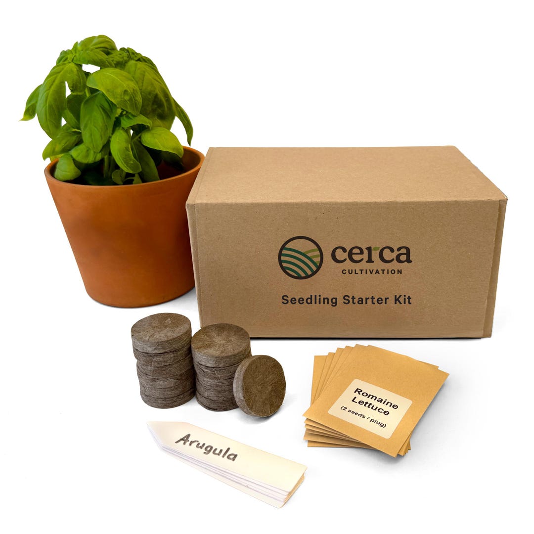 Seedling Starter Kit: DIY Garden Gift, Grow Your Own Herbs & Vegetables ...