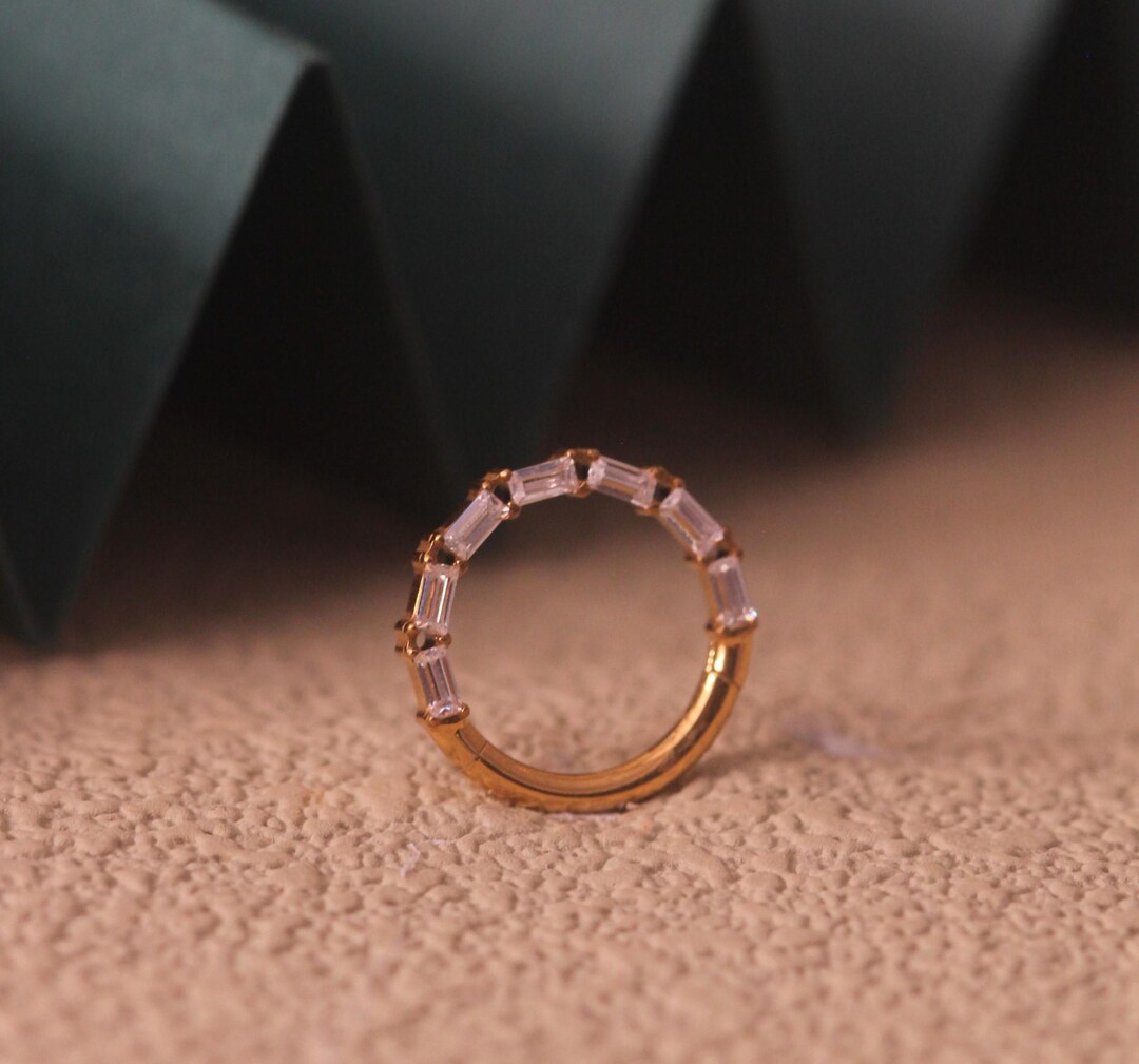 G23 Titanium Hinged Segment Clicker Ring|hinged Segment Nose Septum ...
