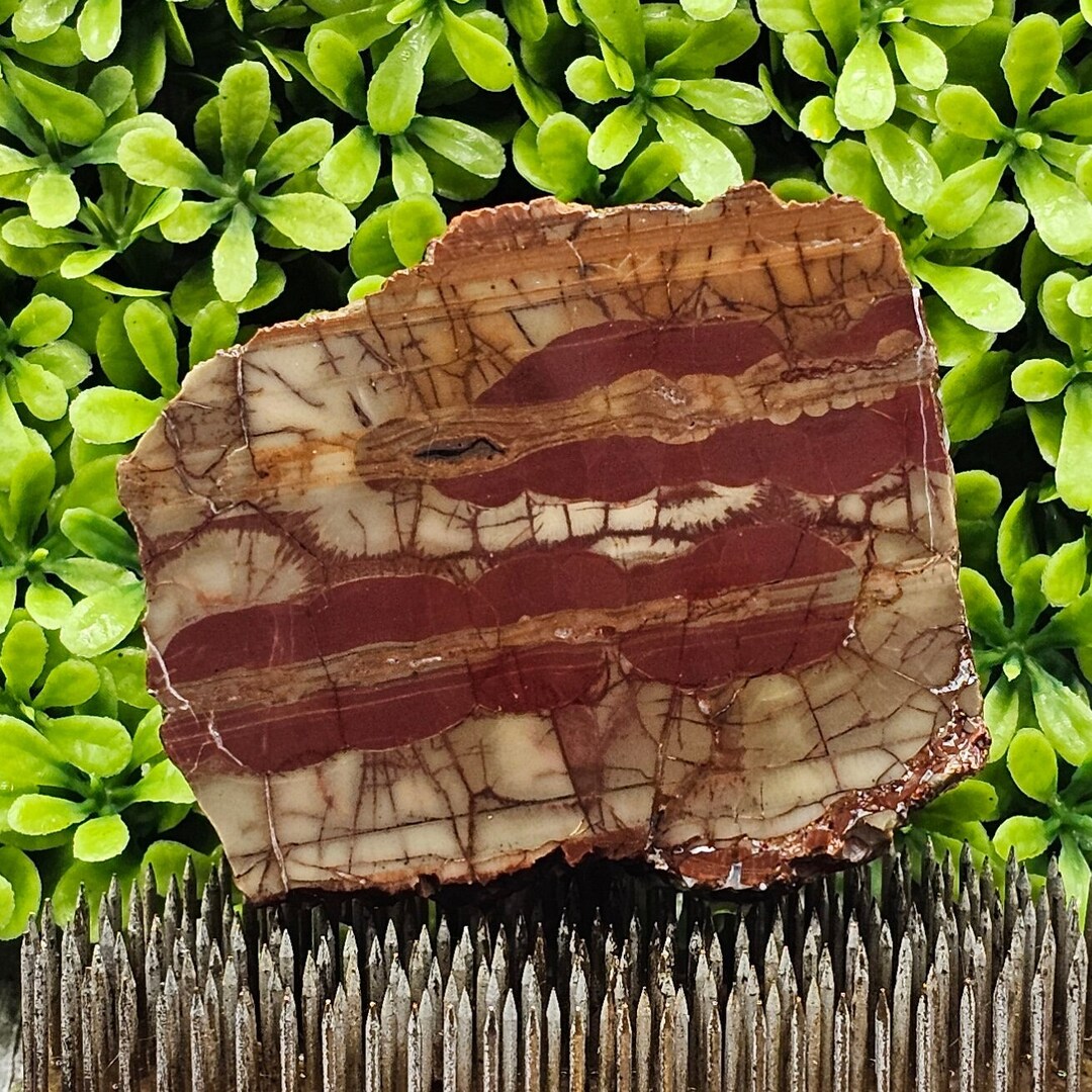 Spiderweb Rhyolite - Rough Lapidary Slab - Unpolished - Etsy