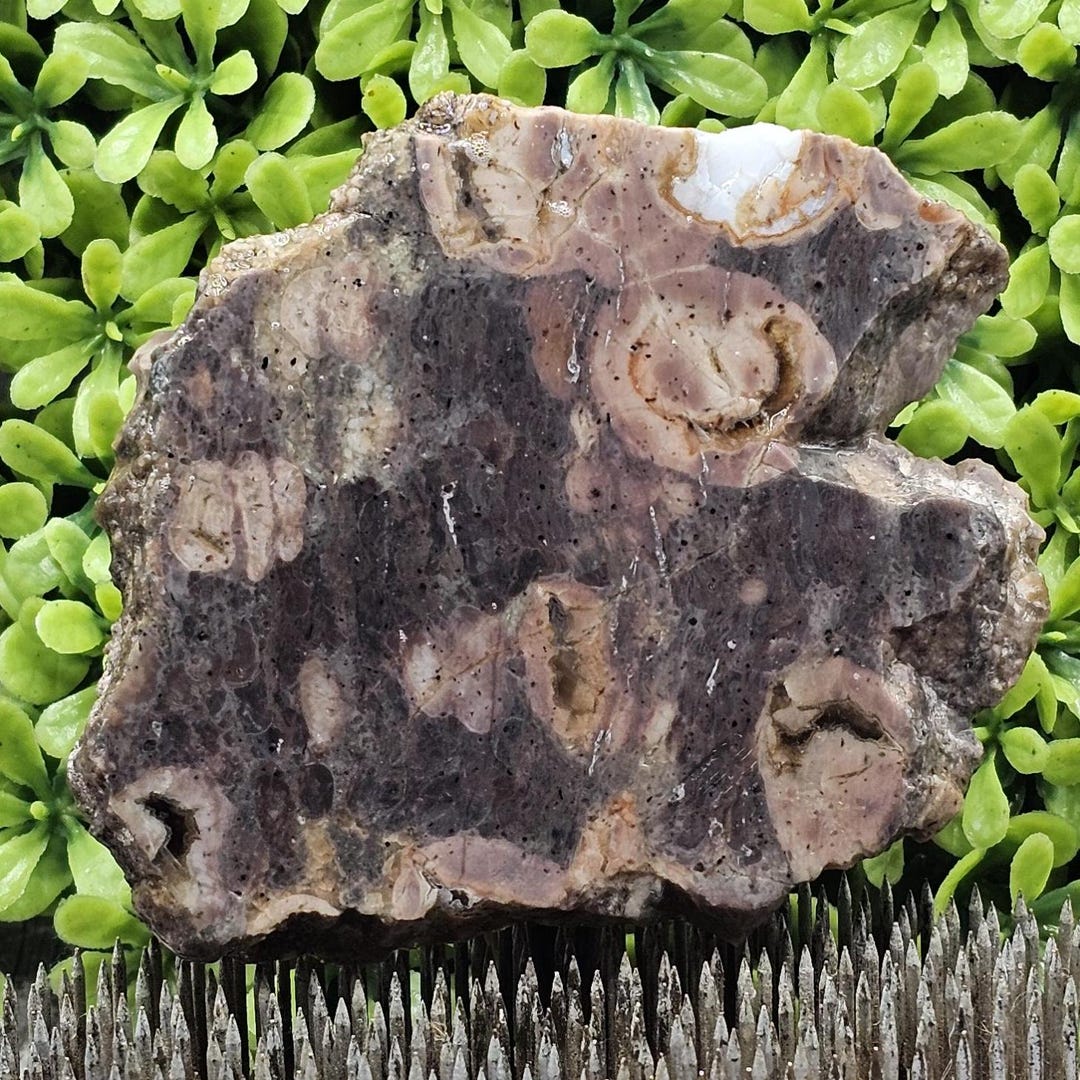 Galaxy Rhyolite Rough Lapidary Slab Unpolished - Etsy