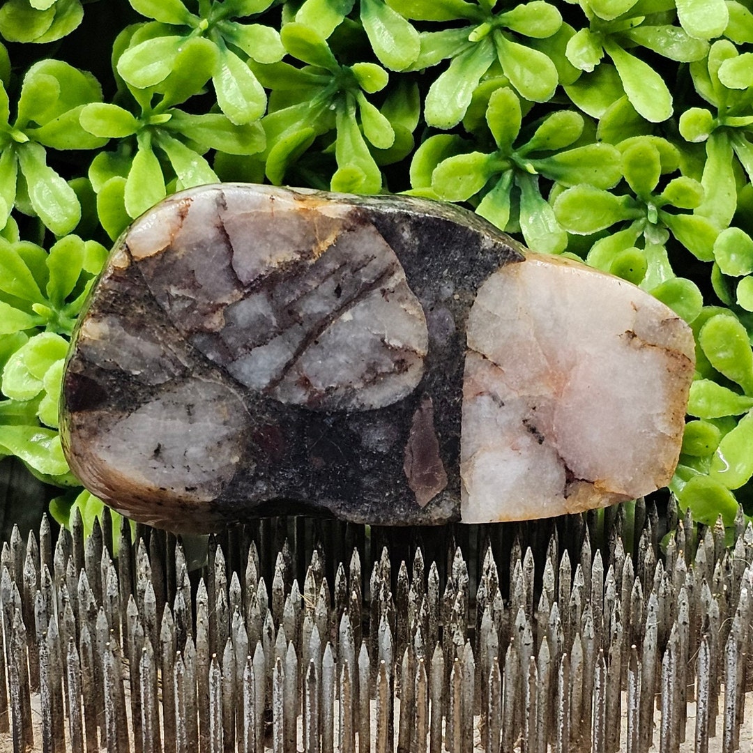 Puddingstone- Rough Slab - Etsy