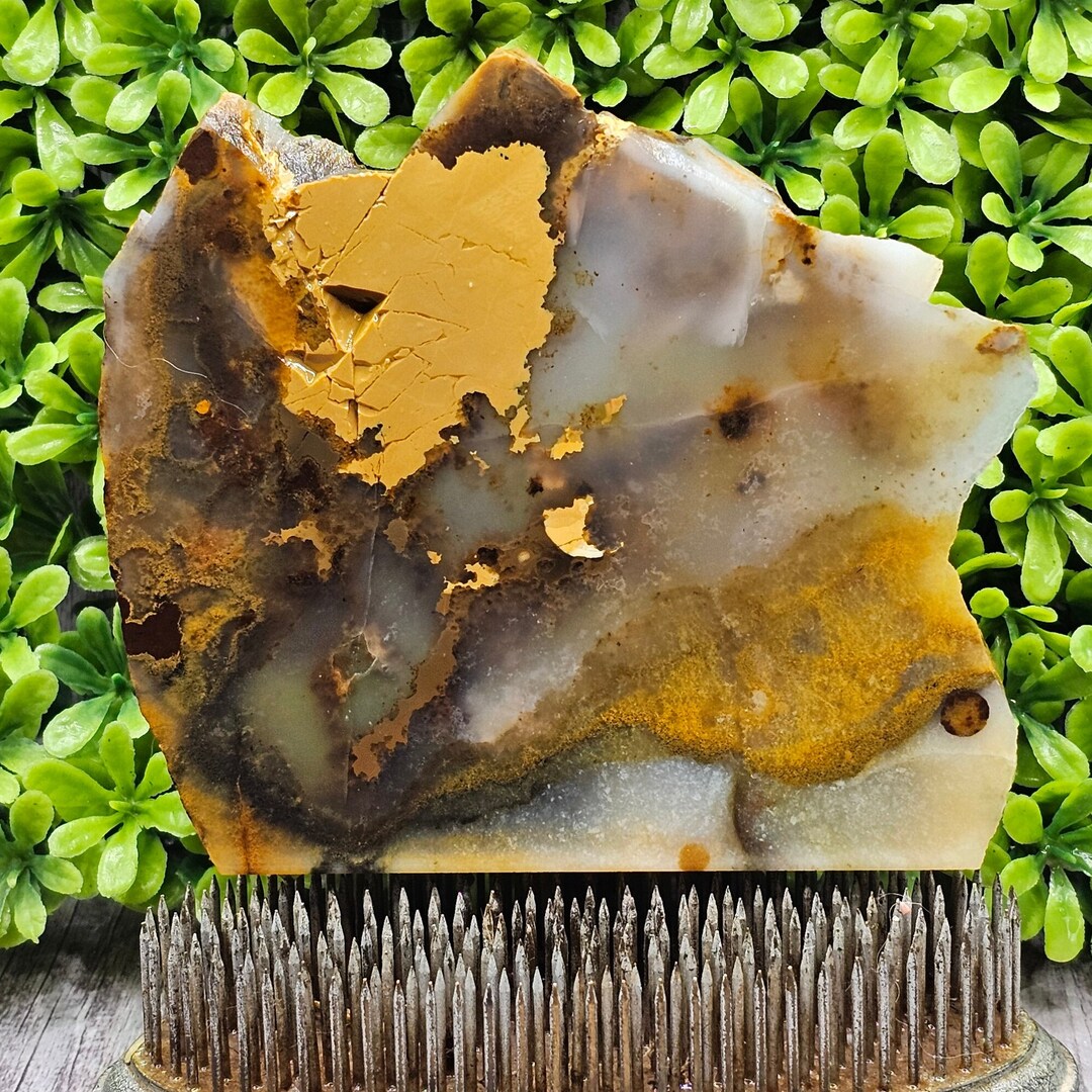 Jasp-agate - Rough Lapidary Slab - Unpolished - Etsy