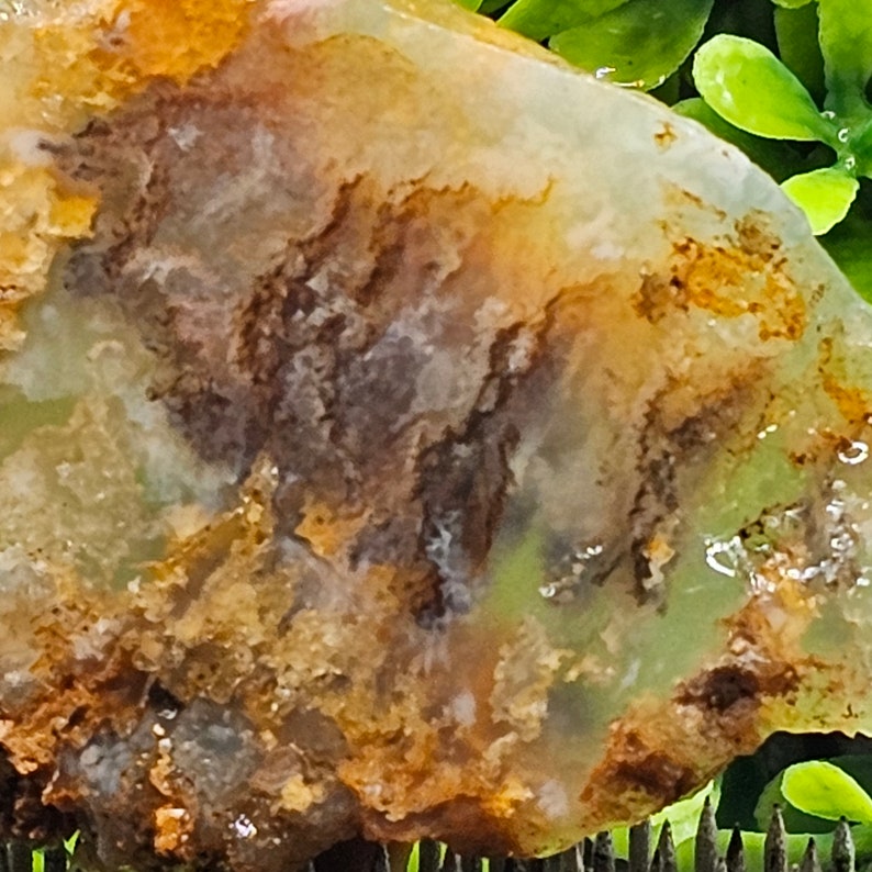 Graveyard Point Plume Agate Rough Slab - Etsy