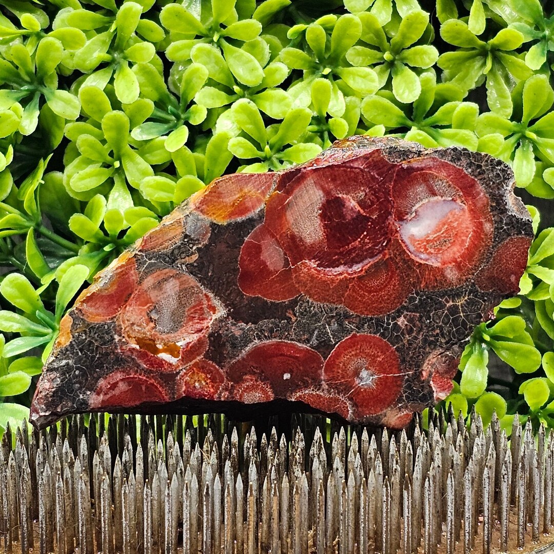 Galaxy Rhyolite Rough Lapidary Slab Unpolished - Etsy