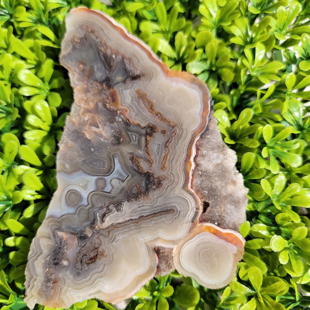 Laguna Lace Agate Rough Lapidary Slab Unpolished - Etsy