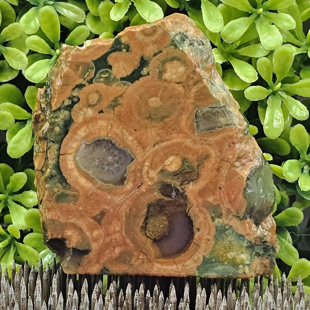 Australian Rainforest Rhyolite - Rough Lapidary Slab - Unpolished - Etsy