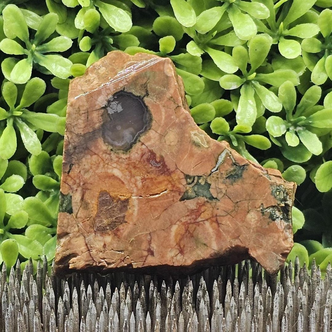 Australian Rainforest Rhyolite - Rough Lapidary Slab - Unpolished - Etsy