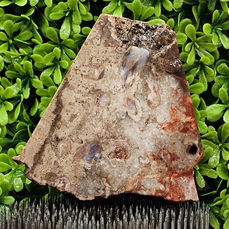 Indonesian Agatized Palm Wood Rough Slab - Etsy