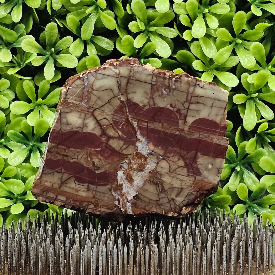 Spiderweb Rhyolite - Rough Lapidary Slab - Unpolished - Etsy