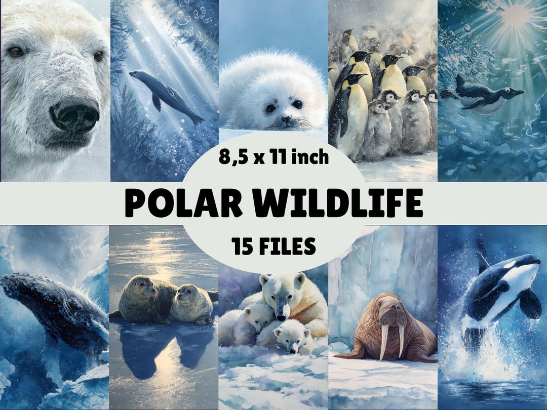 Watercolor Arctic Animals Digital Paper: Winter Wildlife Illustrations ...
