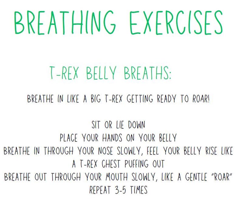 Dinosaur Emotional Regulation Printable Bundle for Kids | Feelings ...