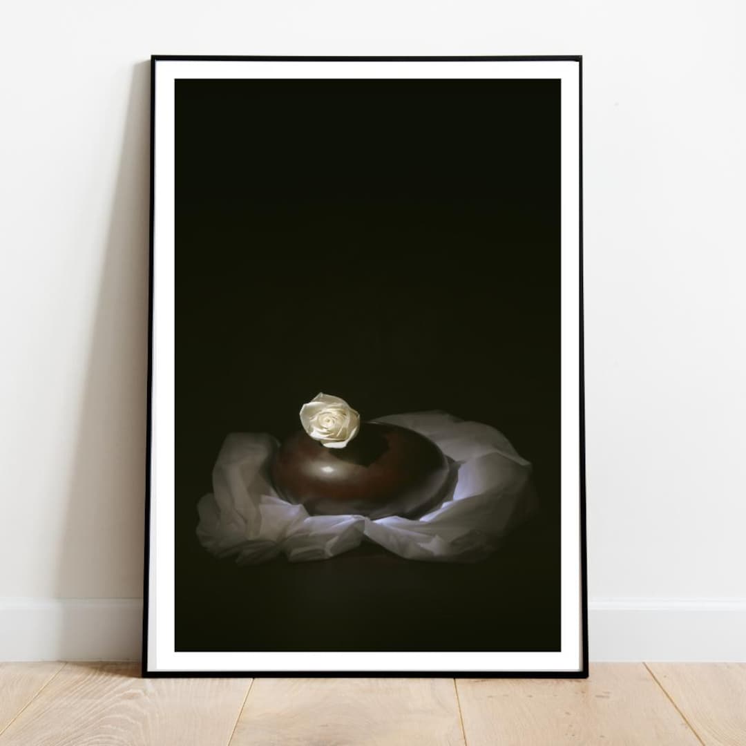 Still Life Photograph of a Single Rose, Moody and Atmospheric Fine Art ...