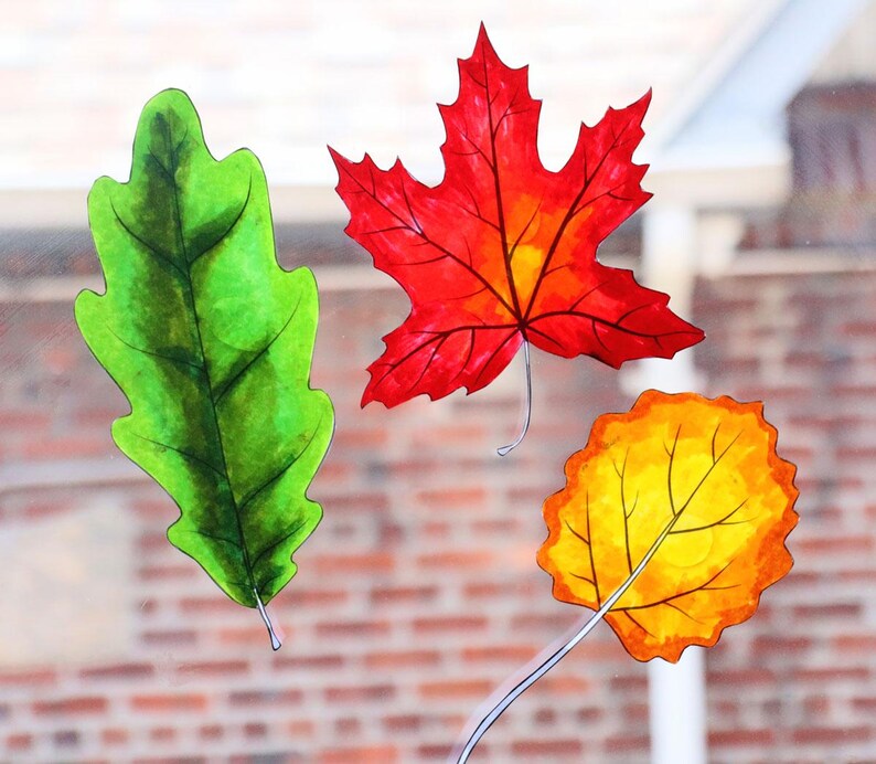 Leaf Coloring Pages for Kids & Adults | Maple Oak Aspen Palm Holly ...