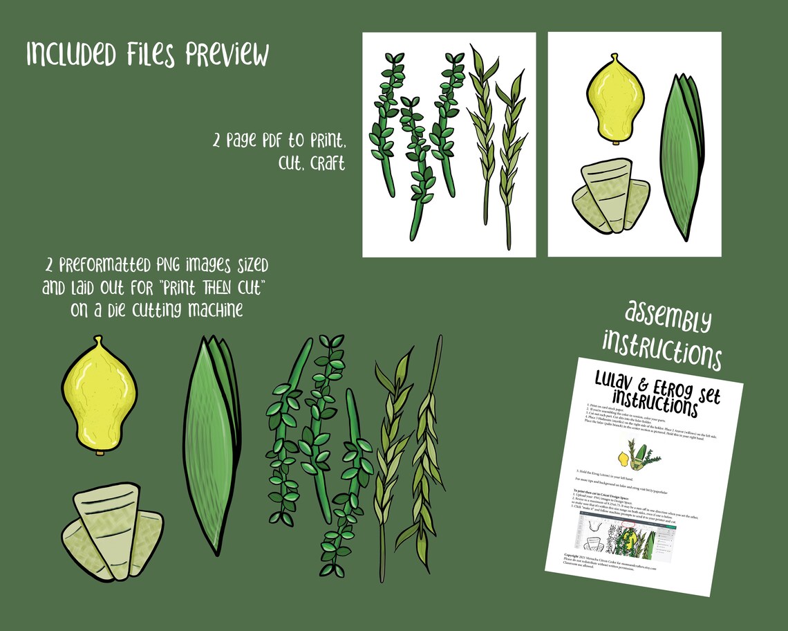 Sukkot Crafts Full Color Bundle LULAV and Etrog Set Plus - Etsy