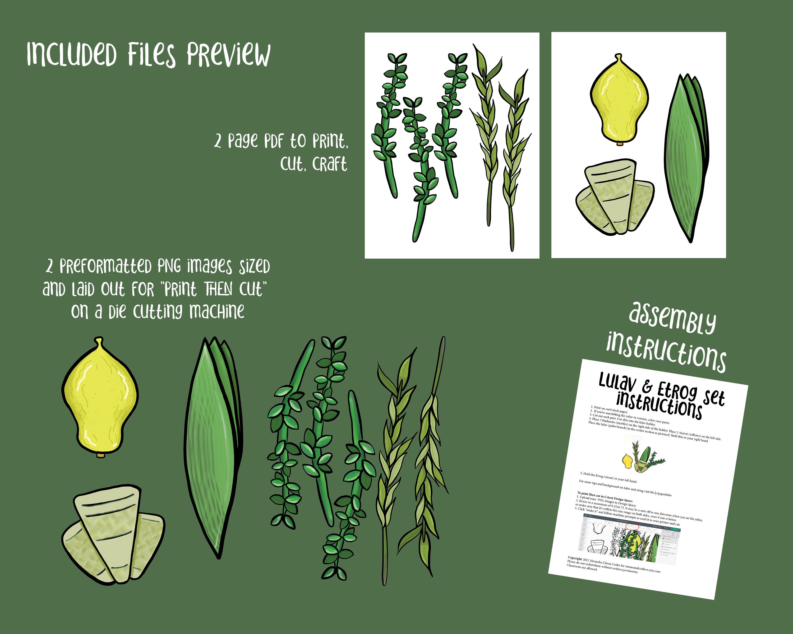 Sukkot Crafts Full Color Bundle LULAV and Etrog Set Plus - Etsy