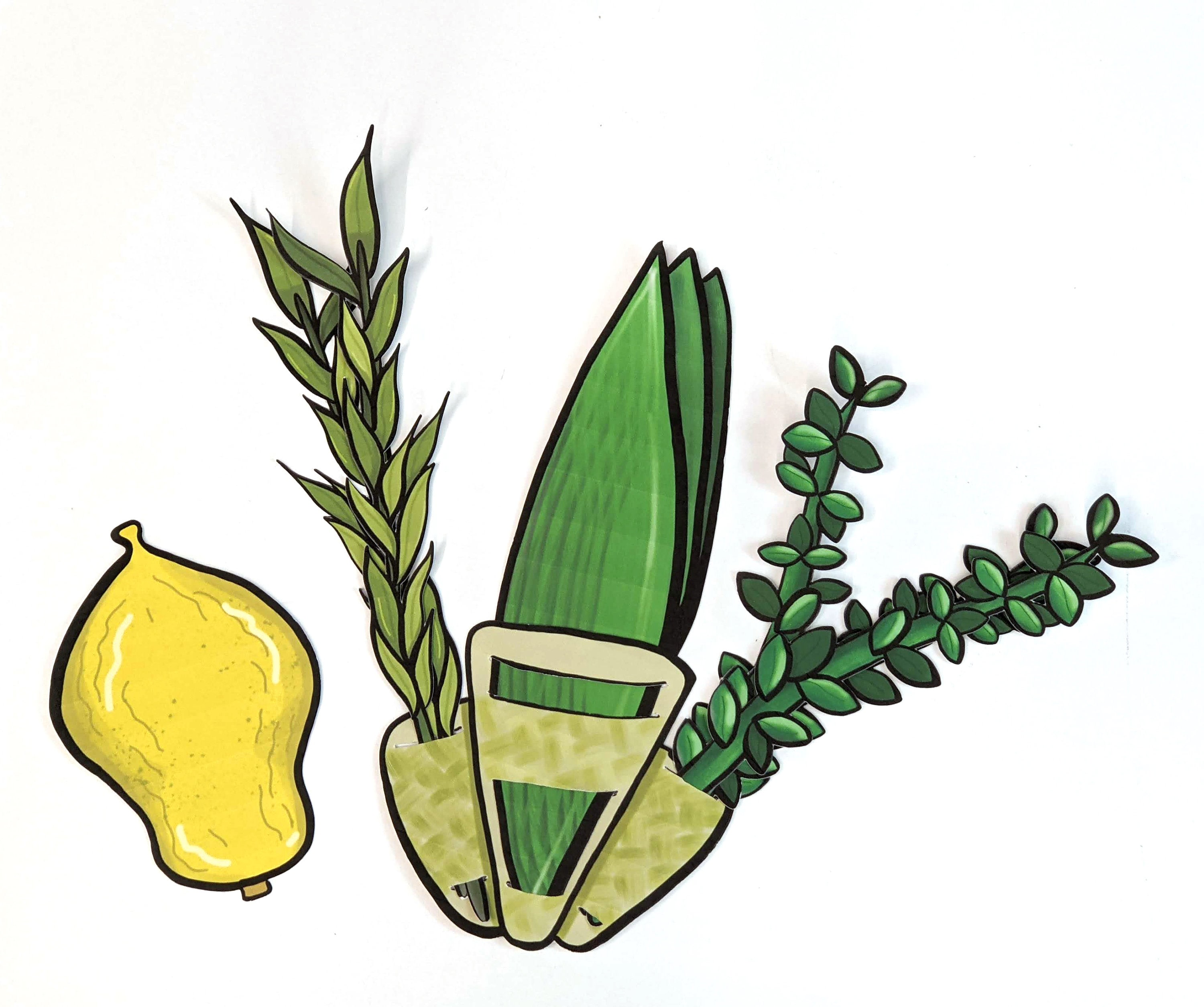 Sukkot Crafts Full Color Bundle LULAV and Etrog Set Plus - Etsy
