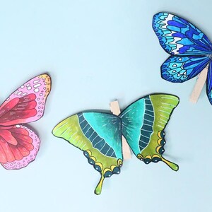 Butterfly Wings Templates | Paper Butterfly Clothespin Craft - Coloring ...