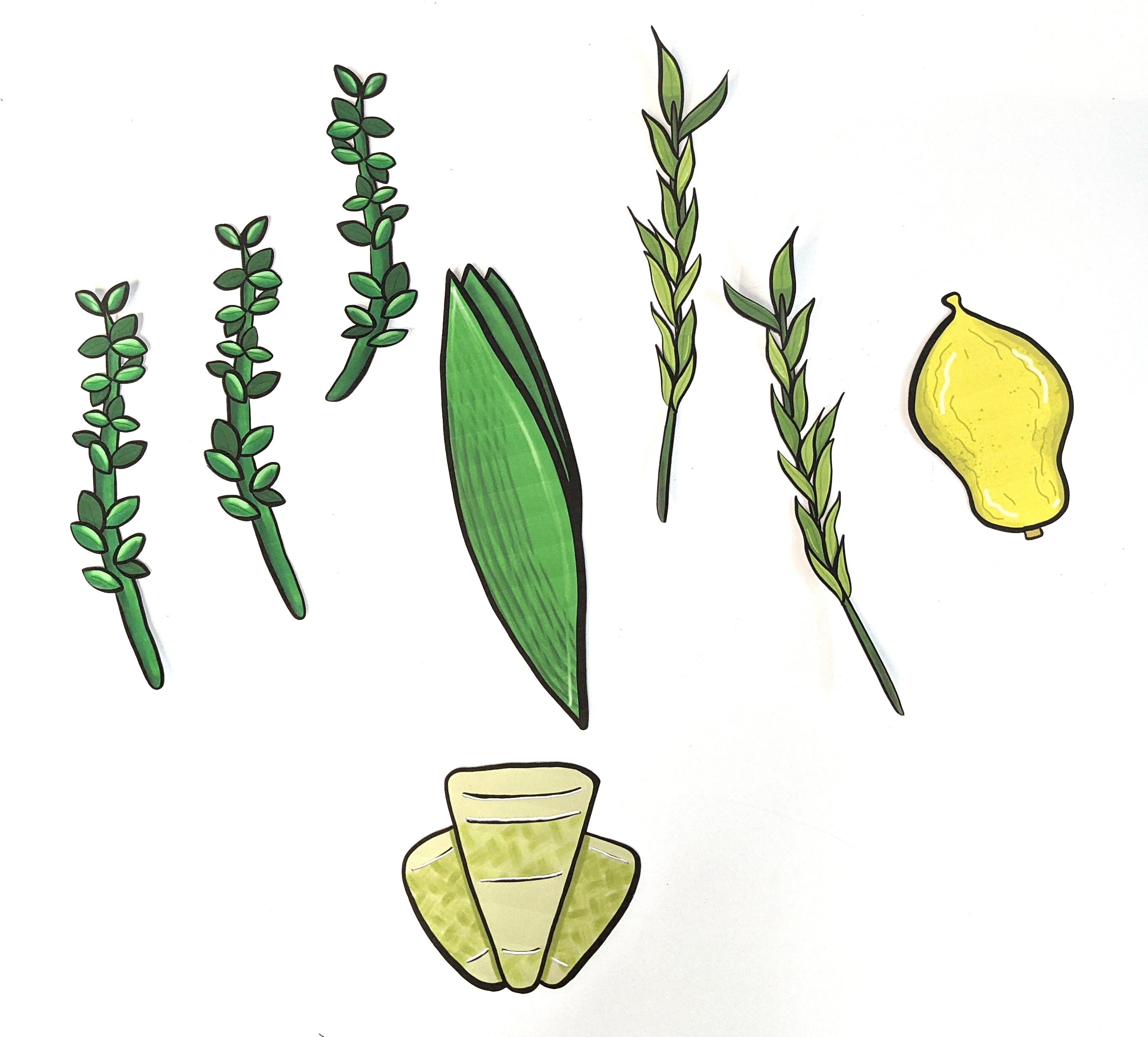 Sukkot Crafts Full Color Bundle LULAV and Etrog Set Plus - Etsy