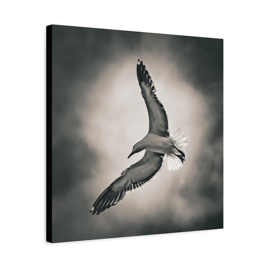 20x20 Black and White Seagull Canvas Wall Art, Ocean Decor, Beach House ...