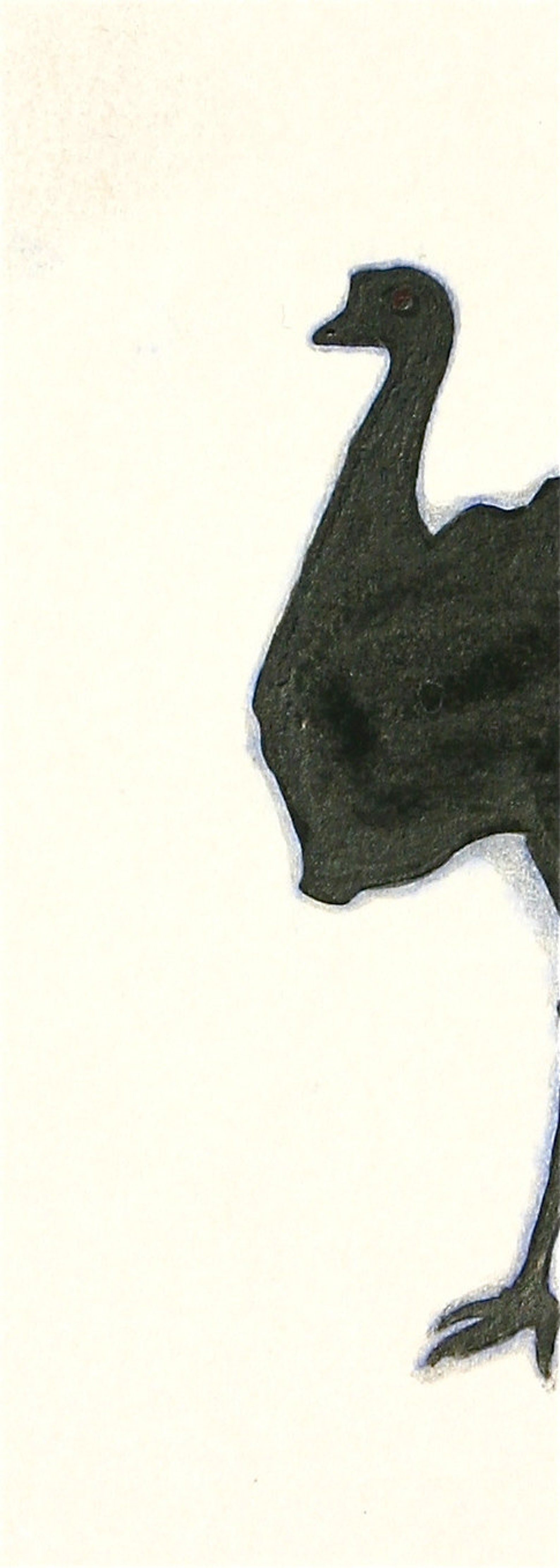 Australian Emu Original Drawing of an Emu Being Australia - Etsy