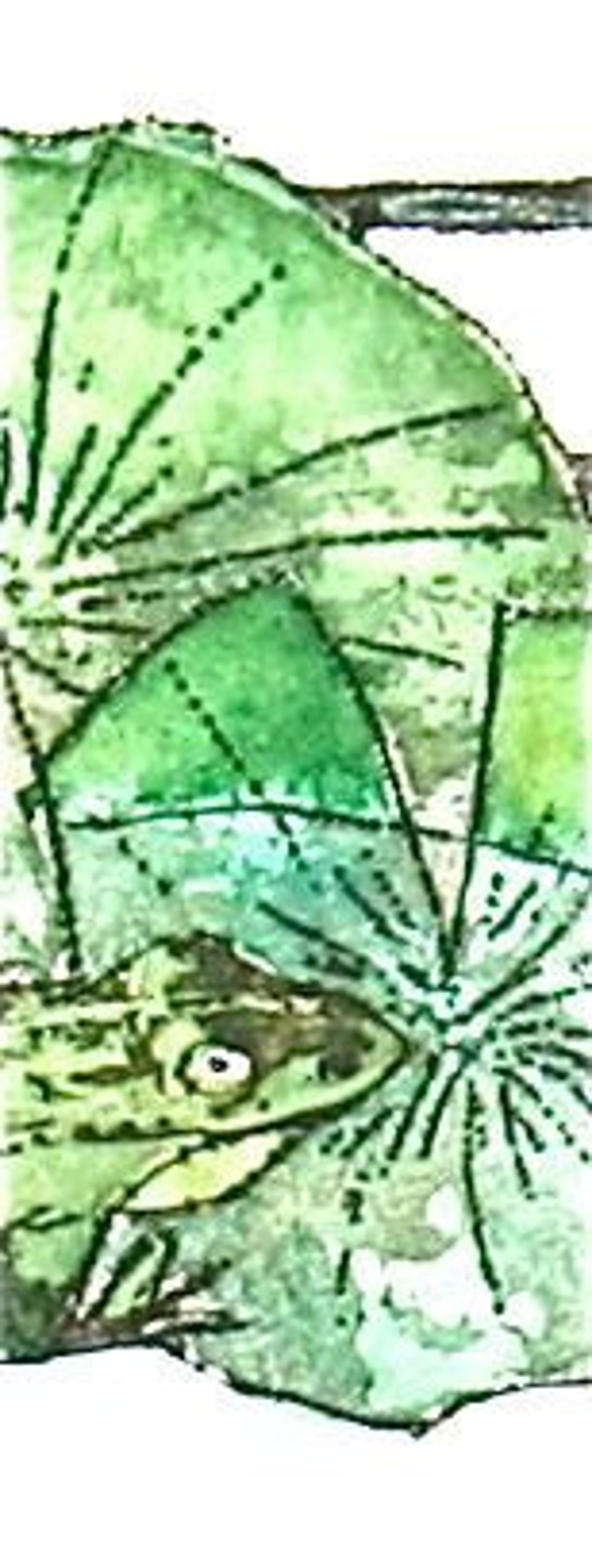 Frog and Water Lily Leaves Original Etching - Etsy