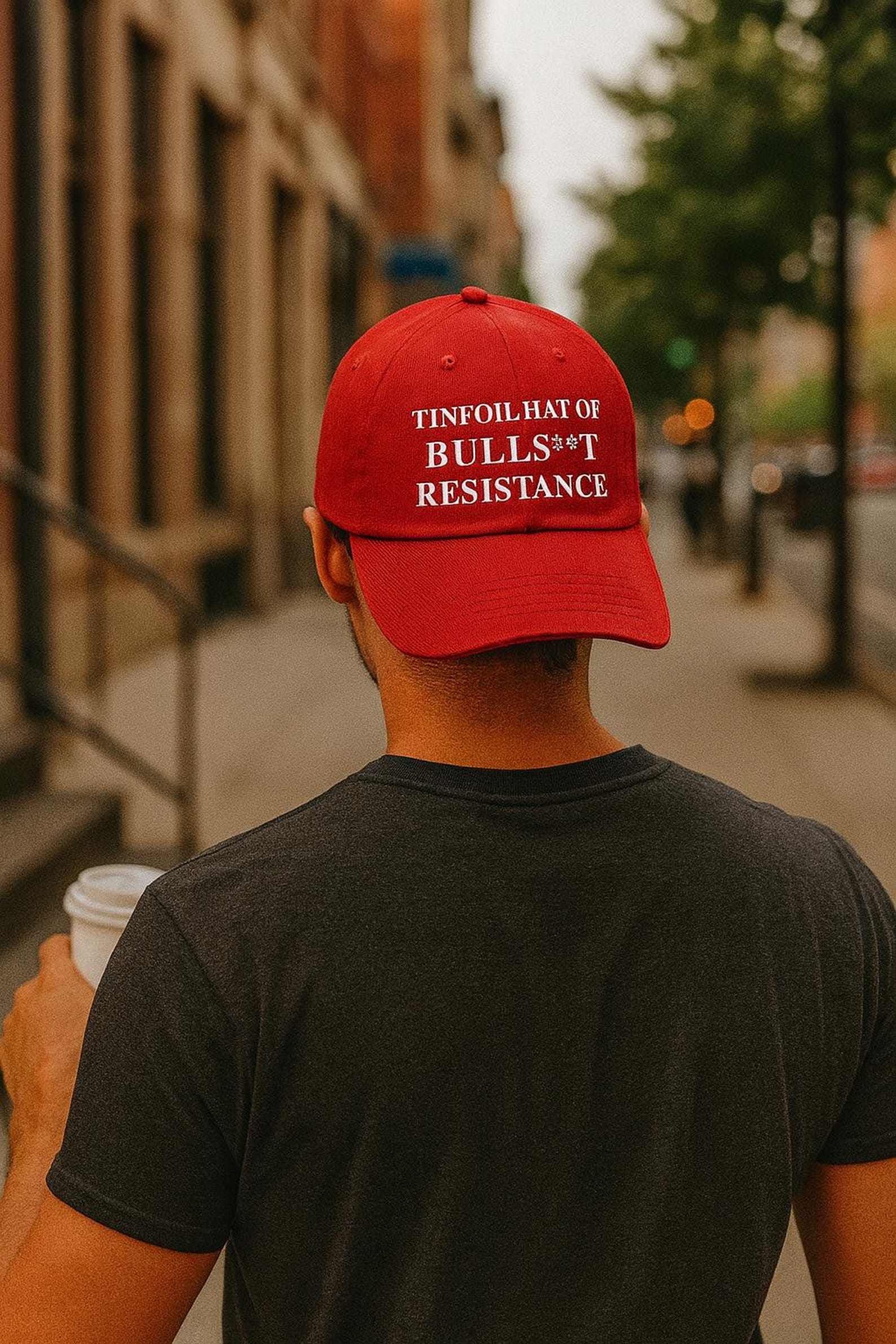 Tinfoil Hat Gift: Skeptic Low Profile Baseball Cap - Etsy