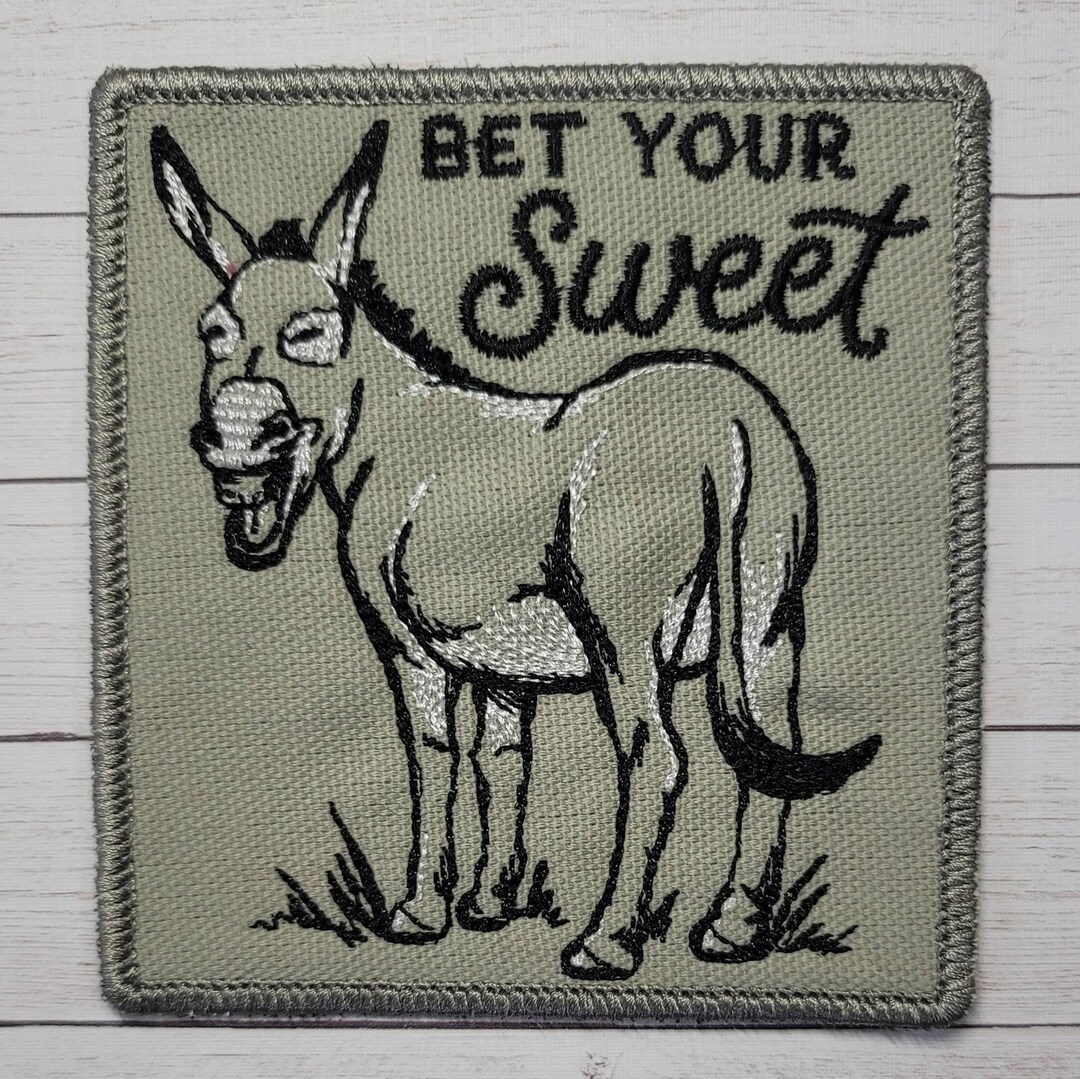Embroidered Donkey Patch: Funny Saying, Gray Canvas (4x4 Inches) - Etsy