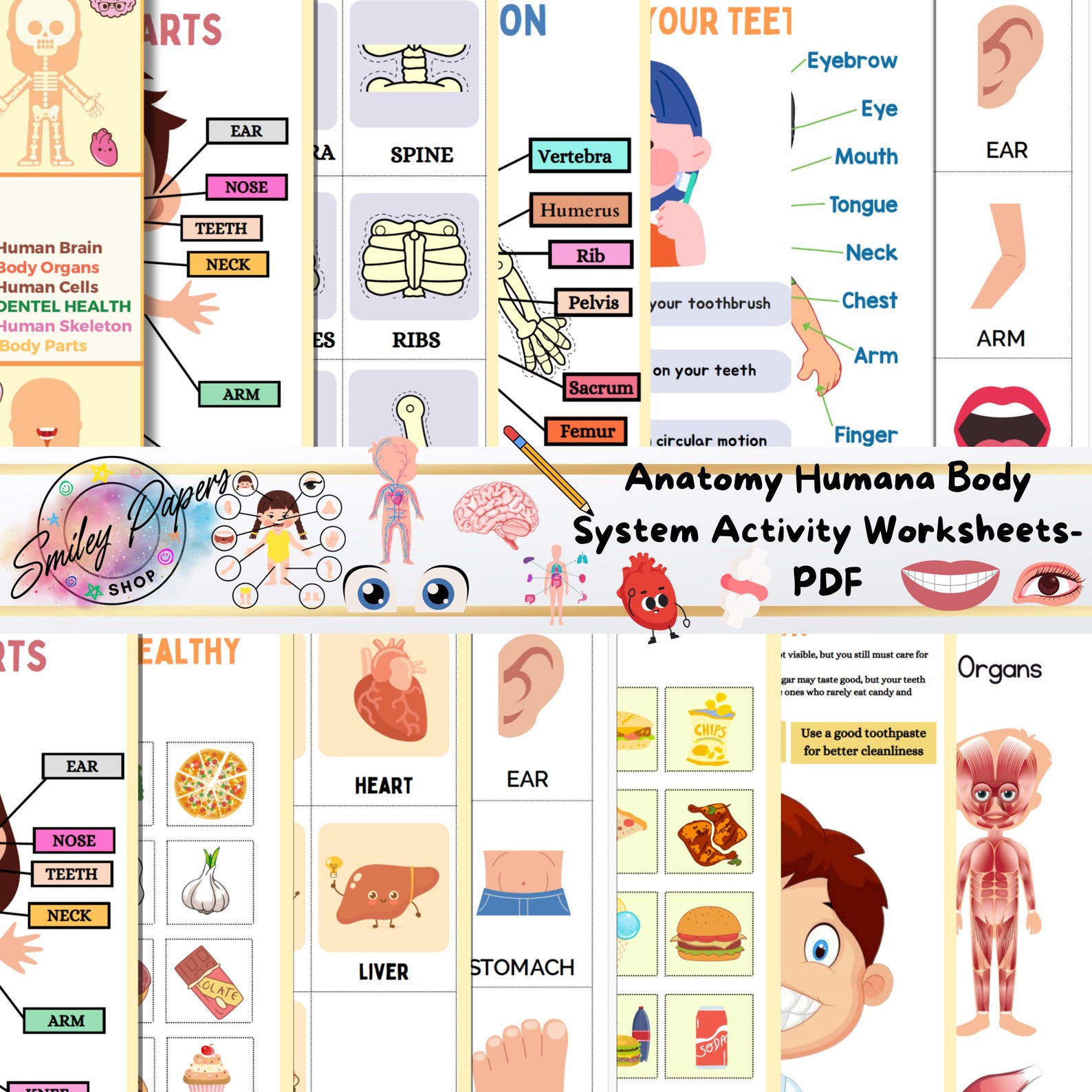 Human Body Systems Activity Bundle, Preschool Science Worksheets (PDF ...