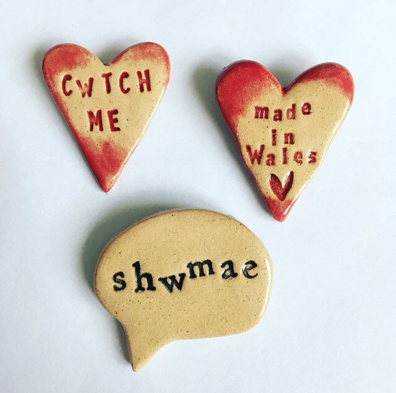 Shwmae how Ya Doin' in Welsh Ceramic Brooch. Speech - Etsy