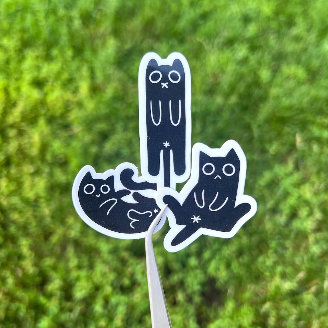 Derpy Black Cat Sticker Pack: Laminated Vinyl Decals - Etsy