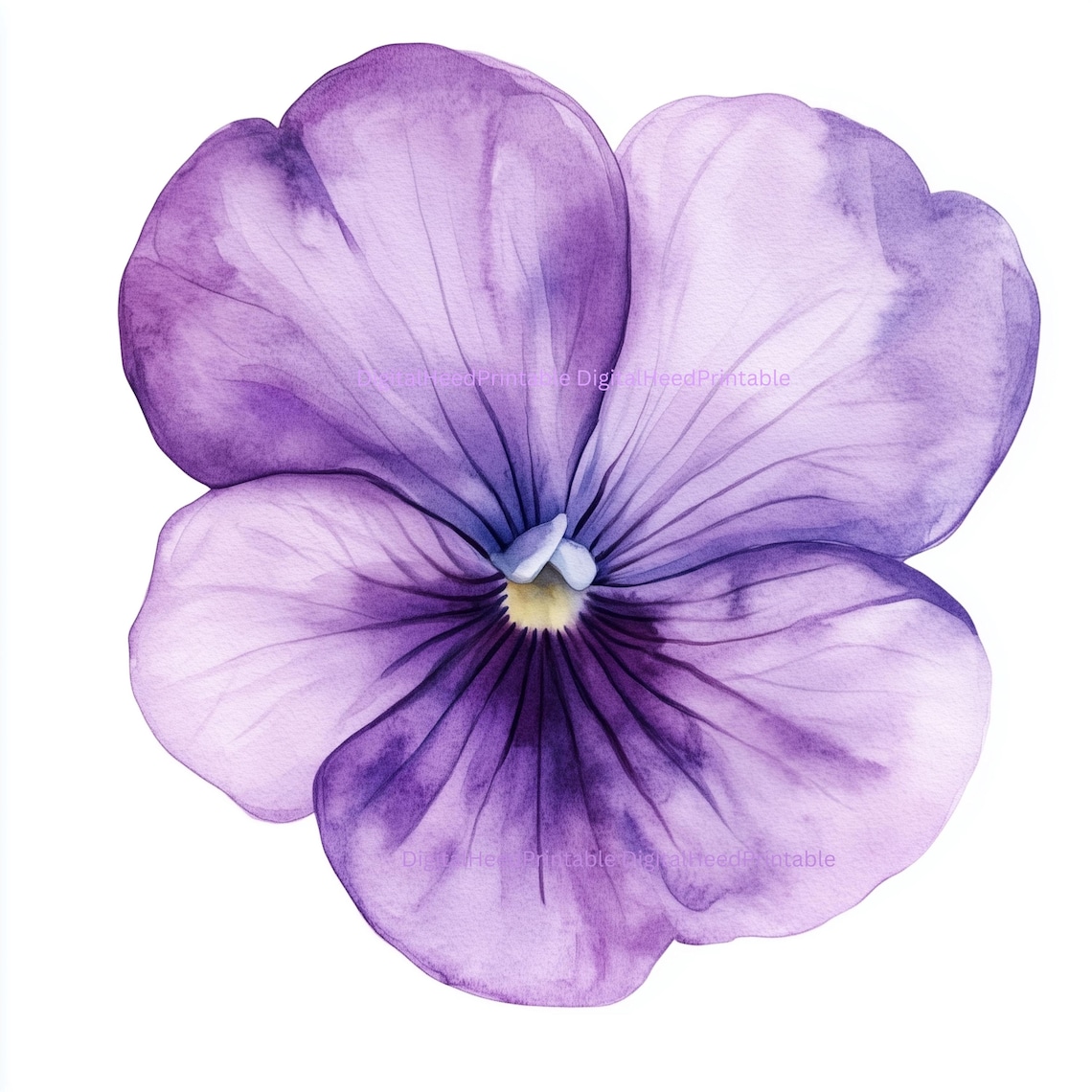 15 Watercolor Violet Flower Clipart: Purple Floral Illustrations (PNG ...