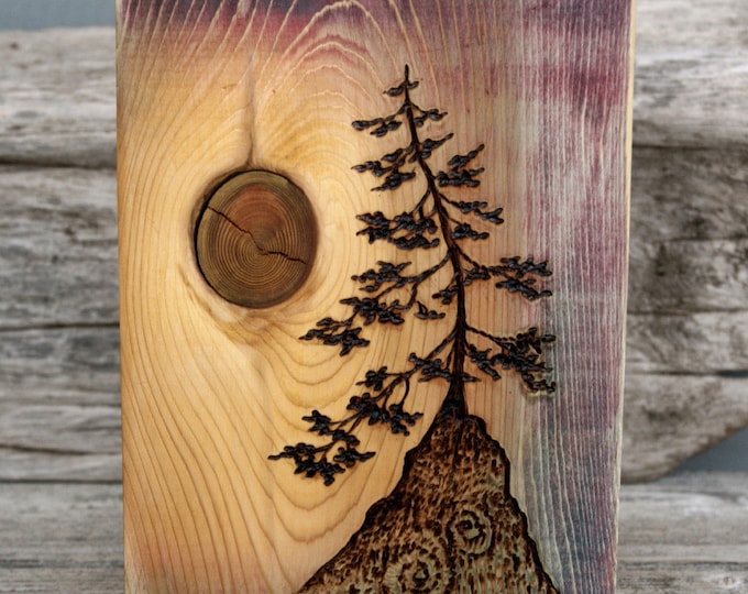 Ancient Tree - Art Block - Woodburning - Etsy