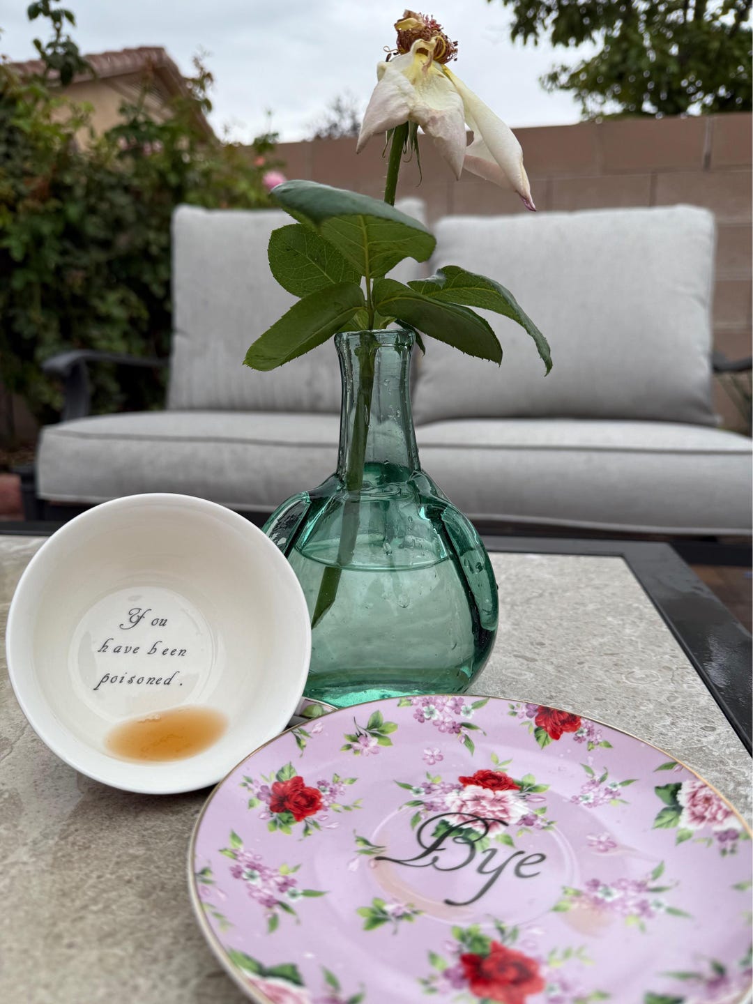 Lilac and Red Floral Teacup & Saucer – “you’ve Been Poisoned” – Funny ...