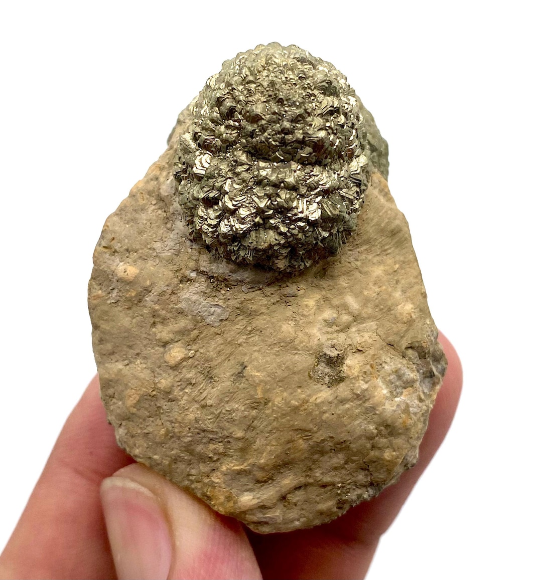 Pyrite Marcasite Specimen, Unique Natural Mineral From Pakistan (113g ...