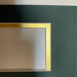 Picture Framing Mat NOT A FRAME #20Z for Two LP Records and Album Cover ...