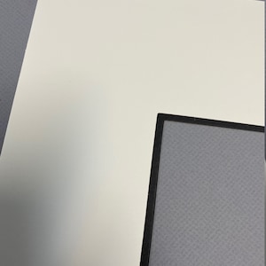 Picture Framing Mat NOT A FRAME #20Z for Two LP Records and Album Cover ...