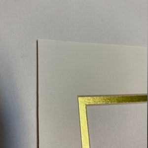 Picture Framing Mat NOT A FRAME #20Z for Two LP Records and Album Cover ...