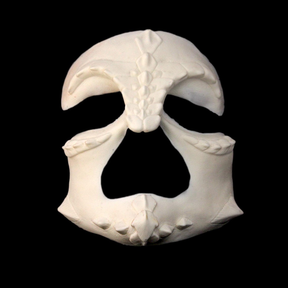 Coshamis Demon Prosthetic MADE TO ORDER | Etsy