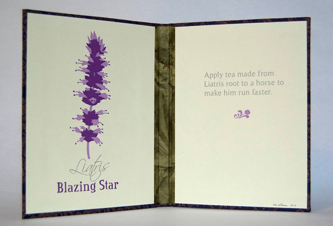Flower Lore Diptych – Purple Blazing Star (liatris) – 3 Color ...