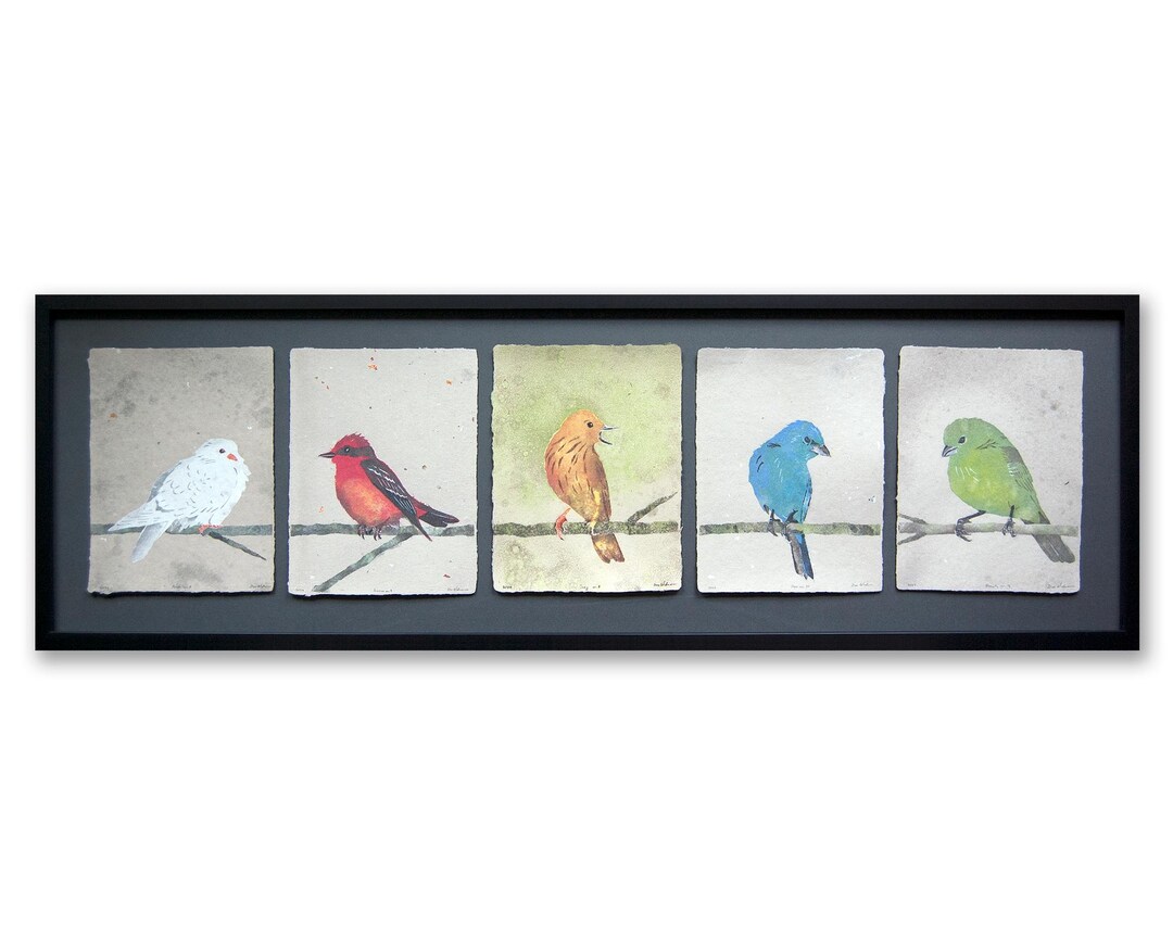 Bird Lore No. 2: -- 5 Bird Pulp Paintings on Handmade Paper, Framed ...