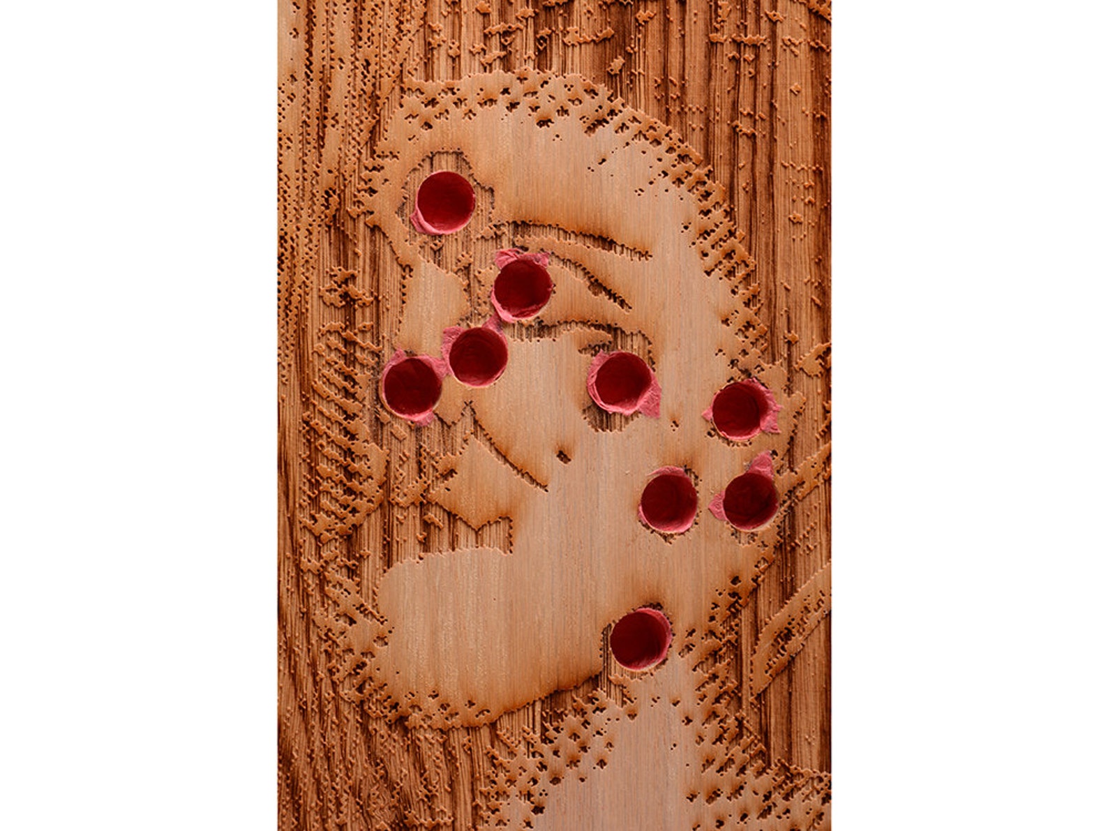 Charlie, Forgive Me: a Wooden Artist Book Based on the 1879 Cleveland ...