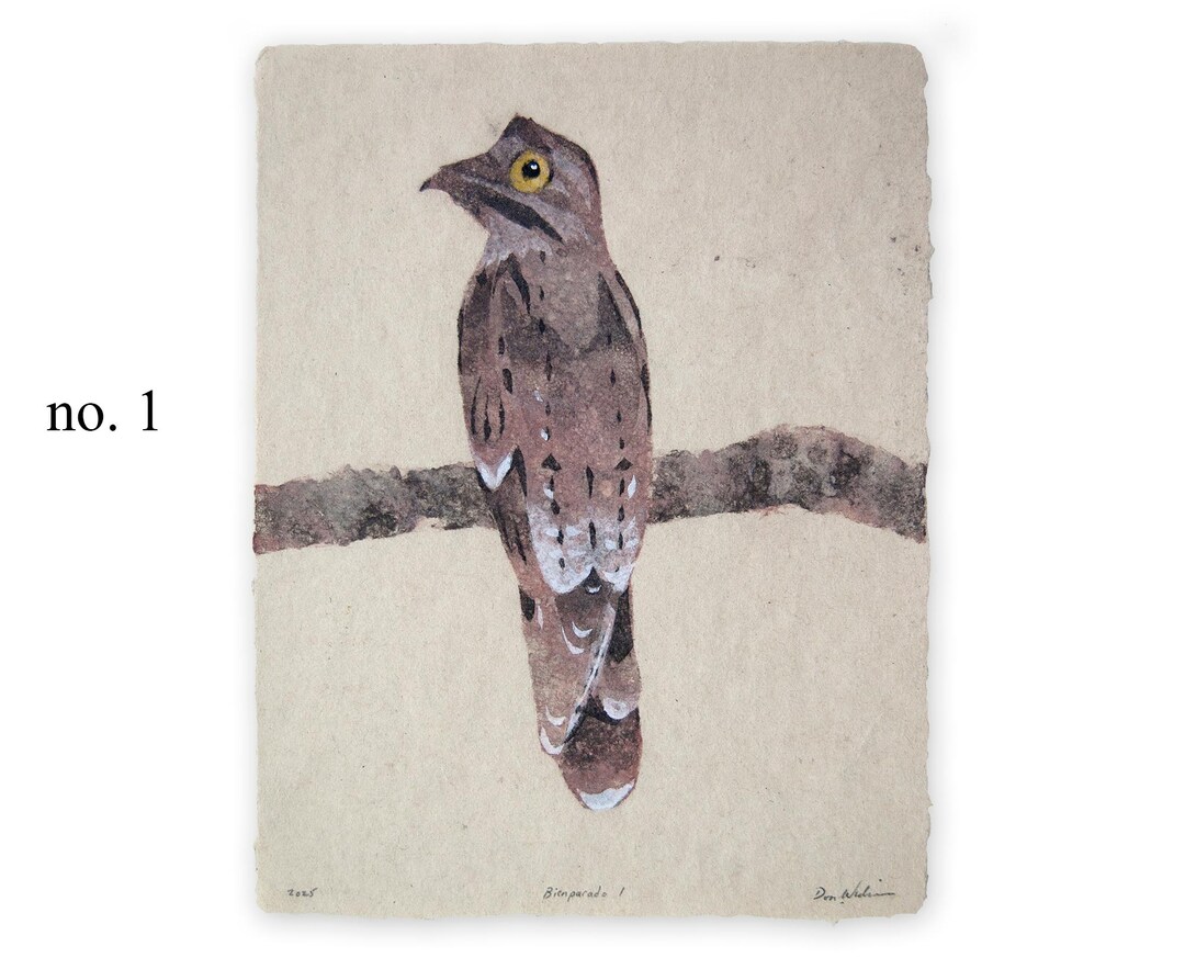 Bienparado (common Potoo) -- Bird Pulp Painting on Handmade Paper (2025 ...