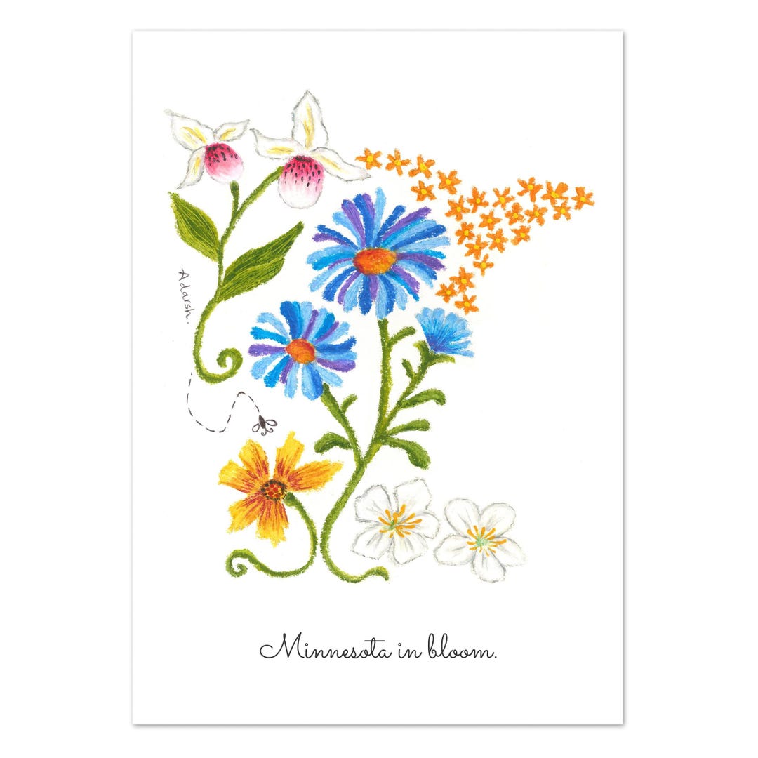 Minnesota State Flower Fine Art Print, Hand Painted Botanical Art ...