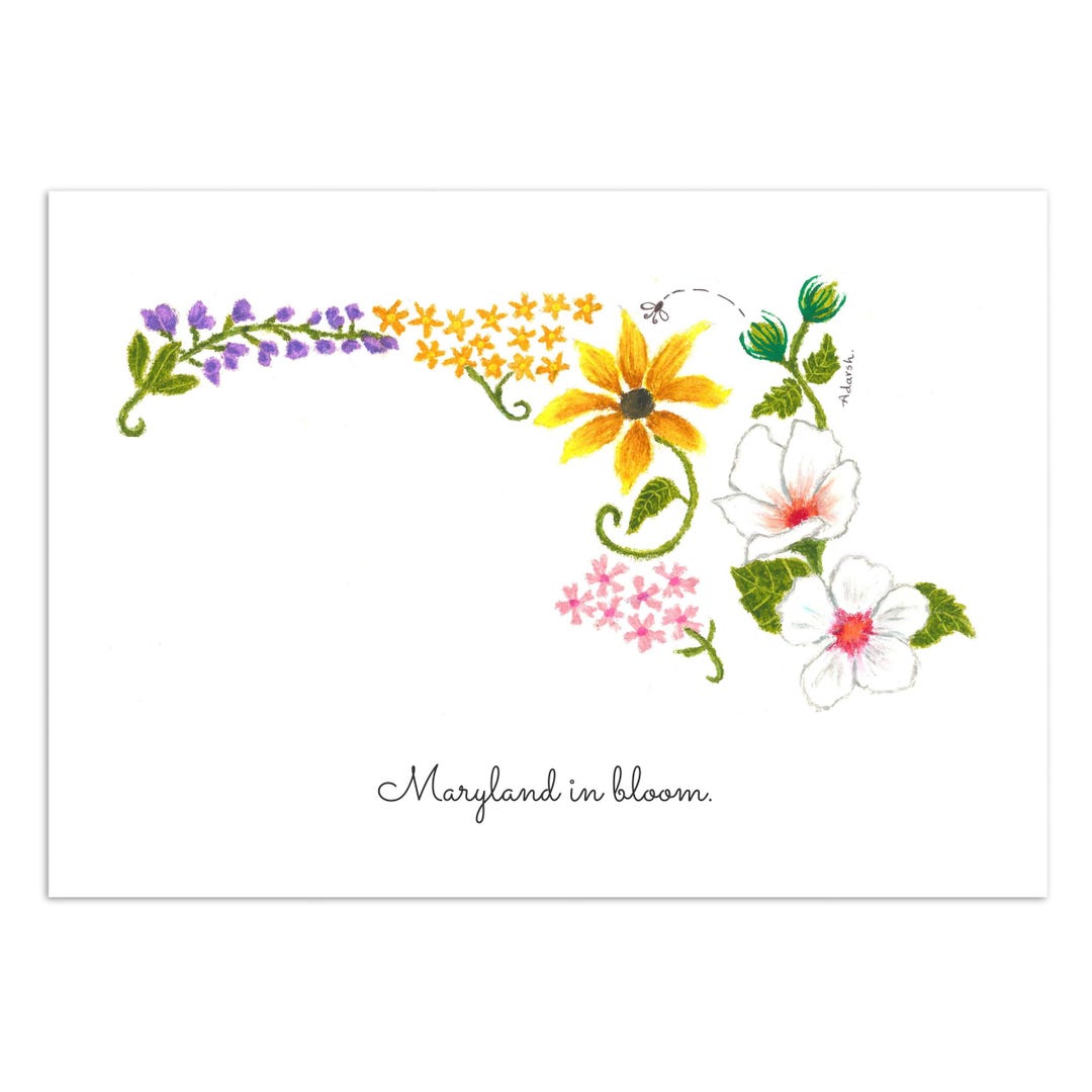 Maryland State Flower Fine Art Print, Hand Painted Botanical Art ...