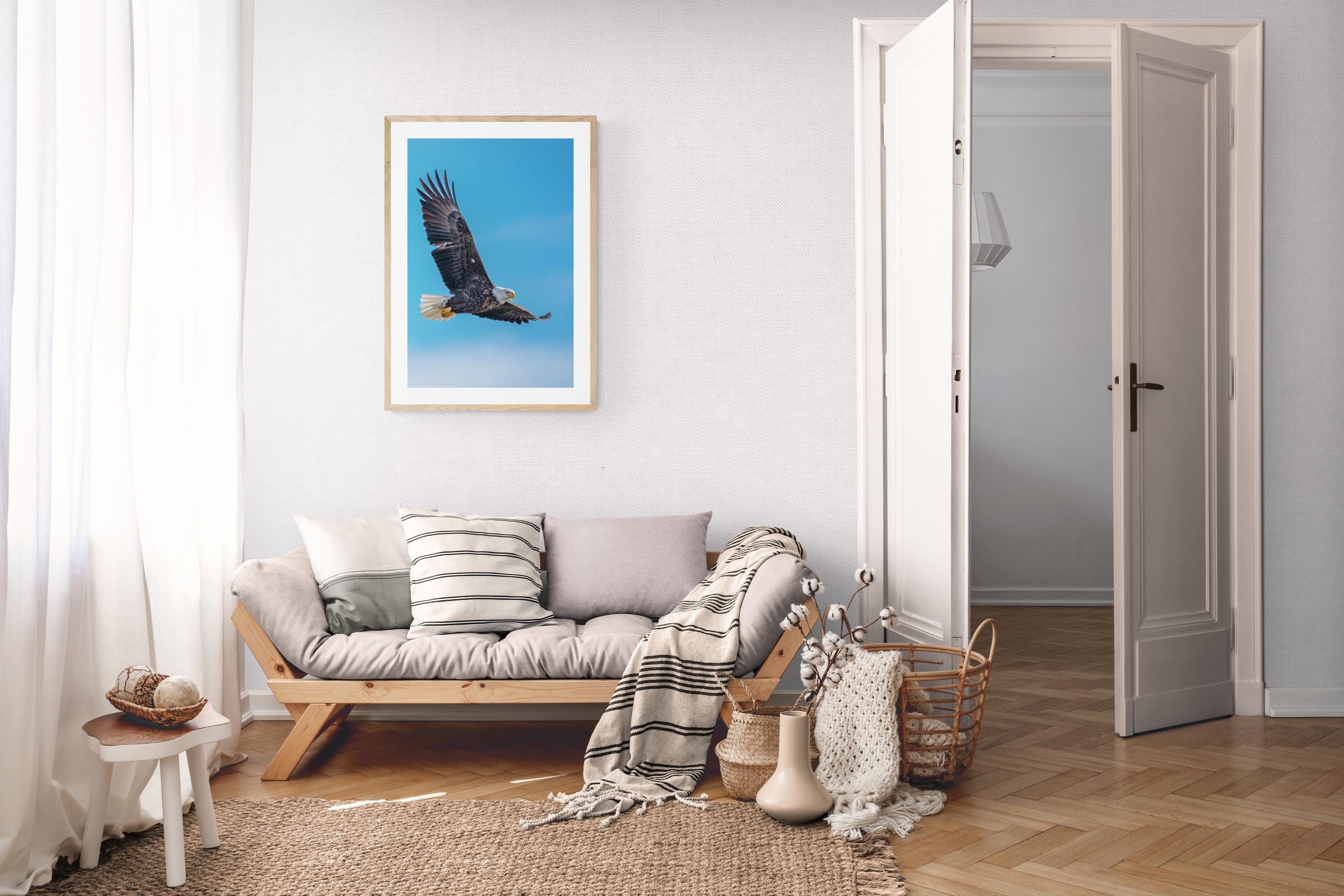 A Bald Eagle Soars Overhead Looking Down From Above | Giclee, Canvas ...