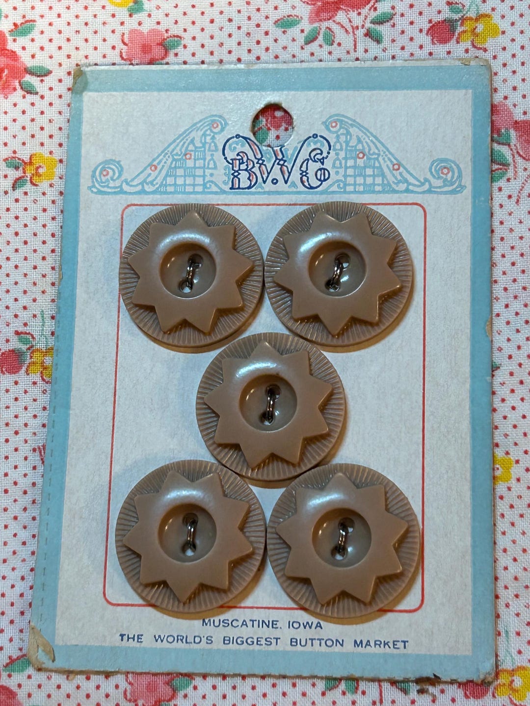 5 Vintage BWC Card Colt Buttons Tan Round Star Design 7/8" in Diameter ...