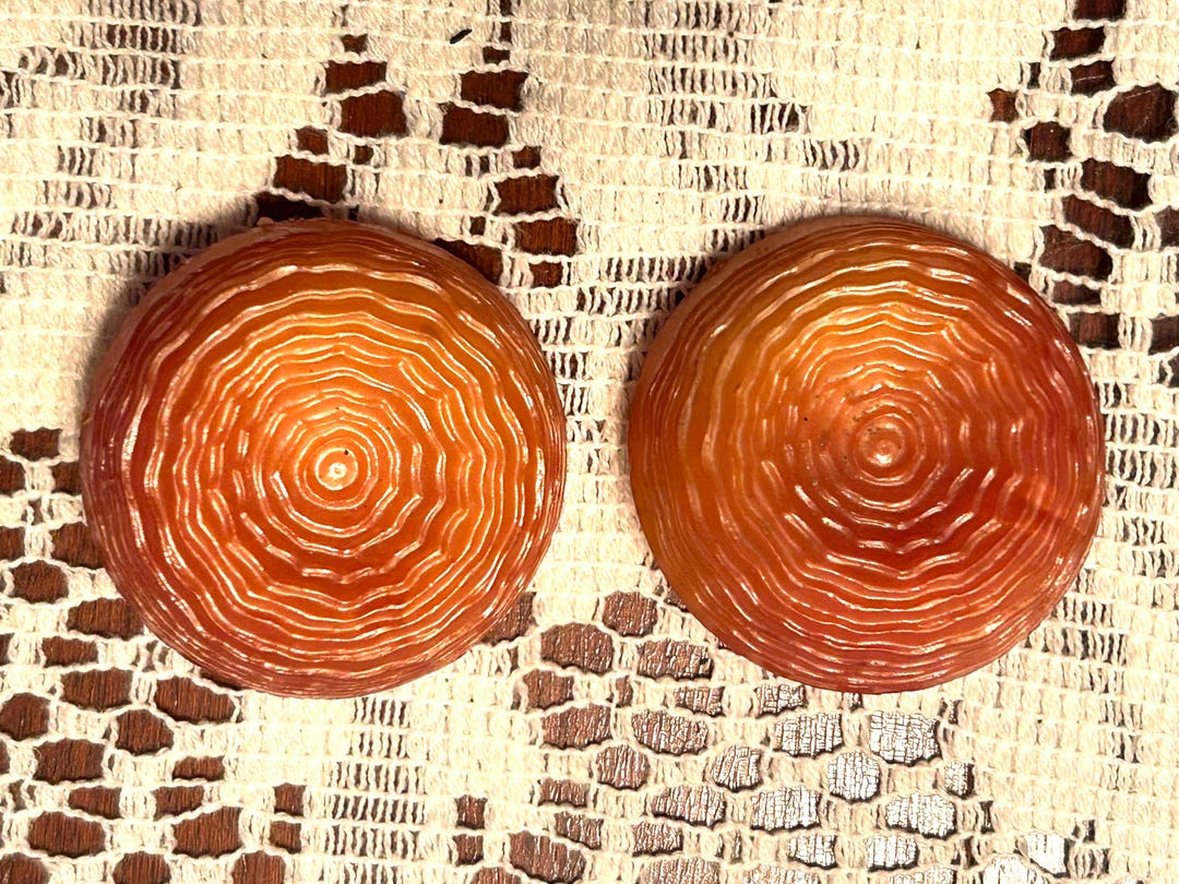 Two Great Large 1 5/8" Copper Rust Gold Buttons With Raised Design ...