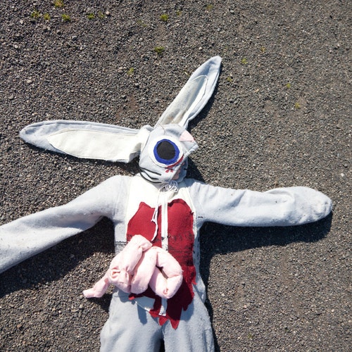 Roadkill Bunny Rabbit Halloween Costume Adult or Child's - Etsy