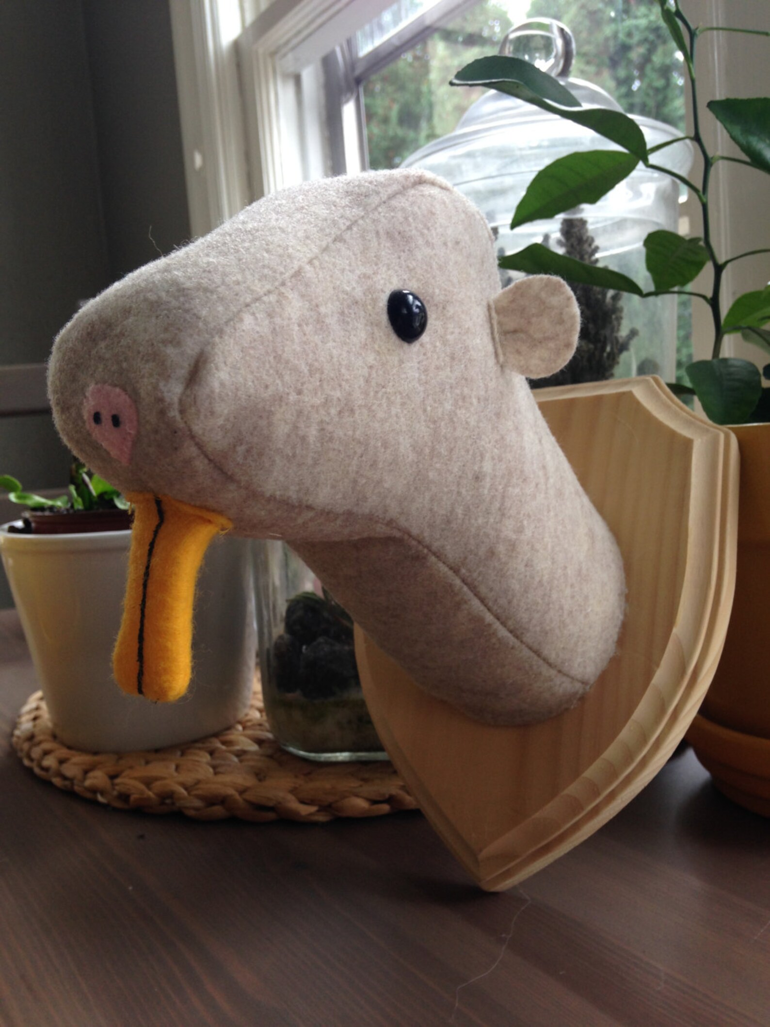 Naked Mole Rat Wall Mounted Head Vegan Fake Taxidermy - Etsy